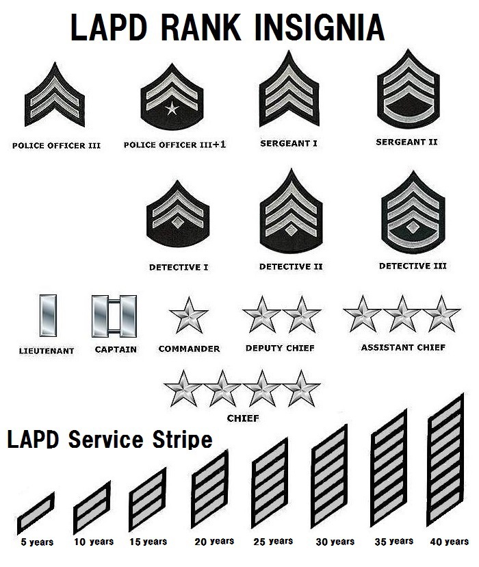 Police Ranks USA Hierarchy List